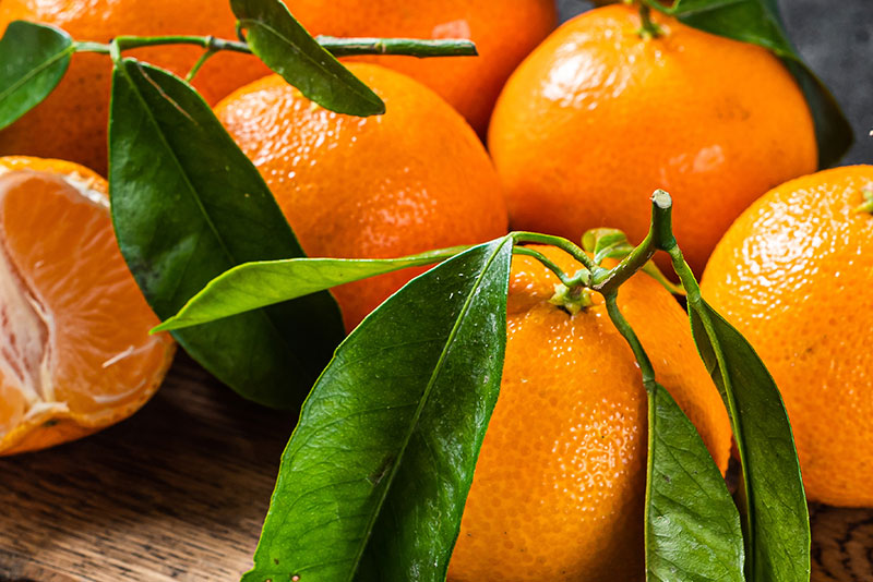 Tangerine - Oreva Trade